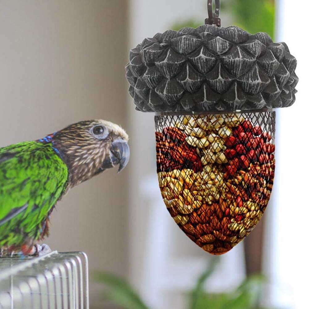 Bird Parrot Hanging Food Feeder Container Outdoor ... – Grandado