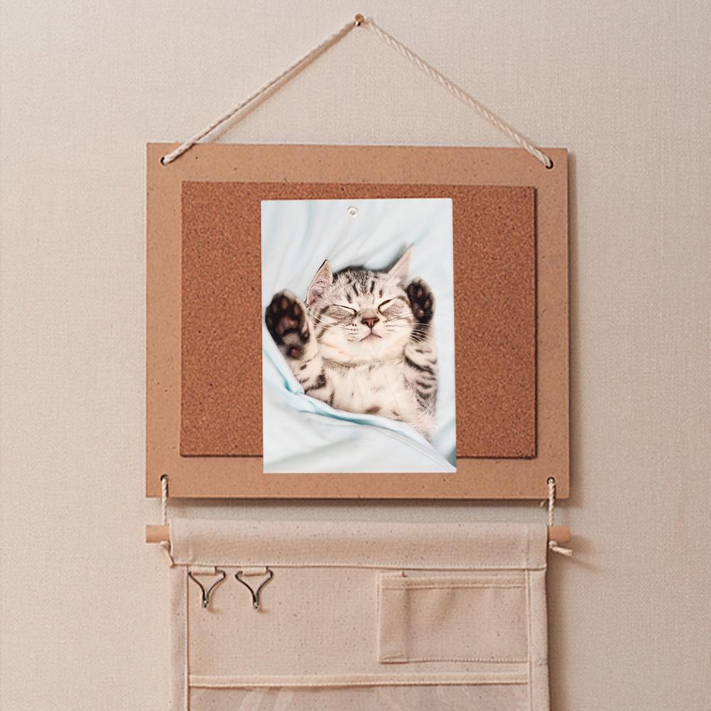 Paper Wall Collage Kit 50pcs Color Box Packing Mos... – Grandado