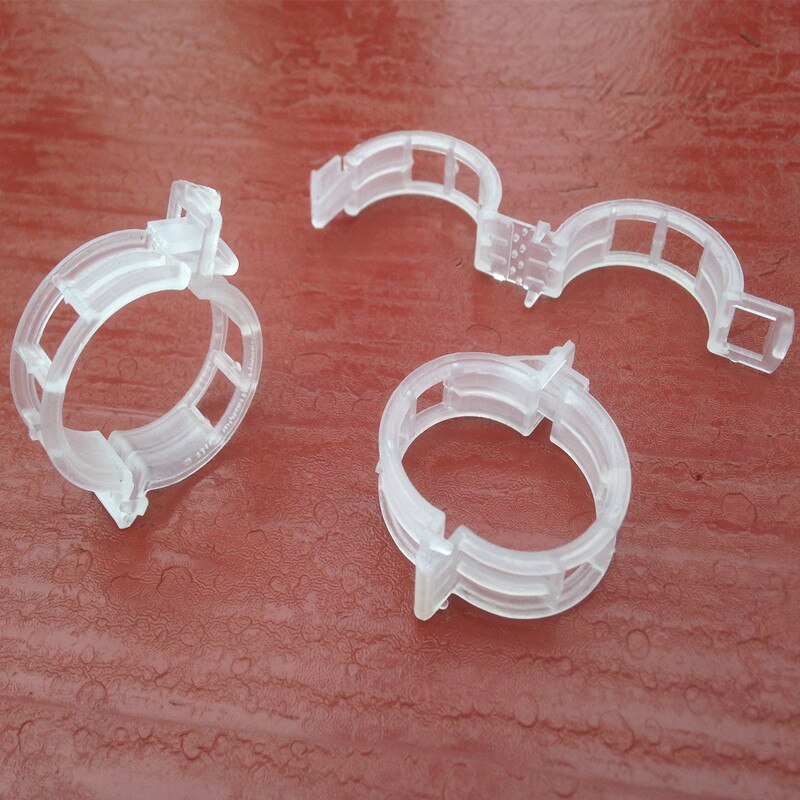 Tomaat Klem Zaailing Klem Wijnstok Klem Plant Beve... – Grandado