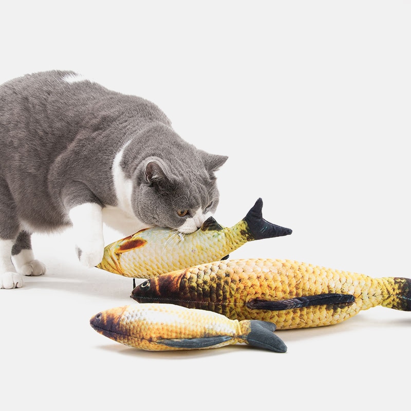 Three Levels pet cat toy Training Amusement plate ... – Grandado