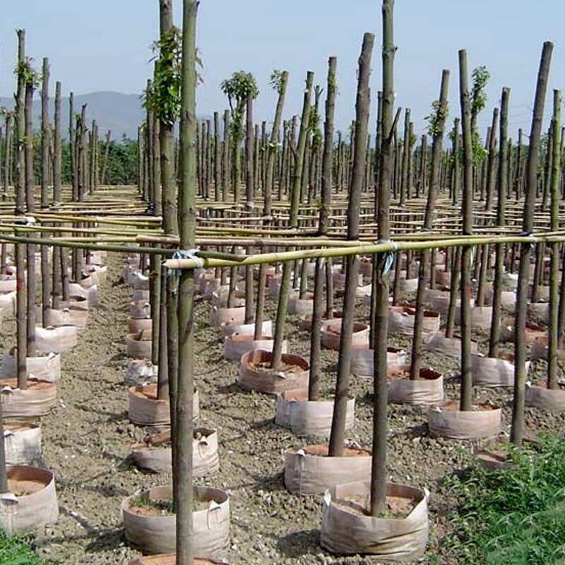 Non-Woven Grow Bags Reusable Garden Bed Planting C... – Grandado