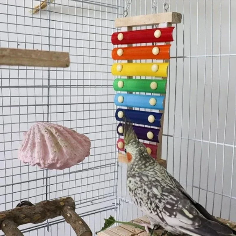 Colorful Bird Xylophone Toy Parrots Chicken Toys B... – Grandado