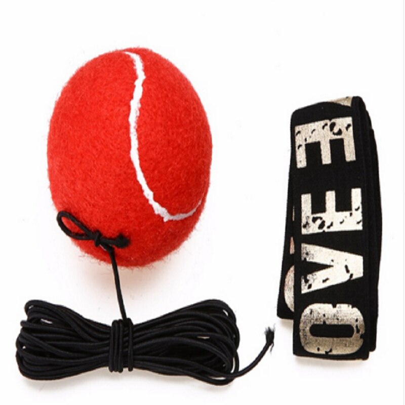 JOYLIVE Fighting Headband Reflection Speed Trainin... – Vicedeal
