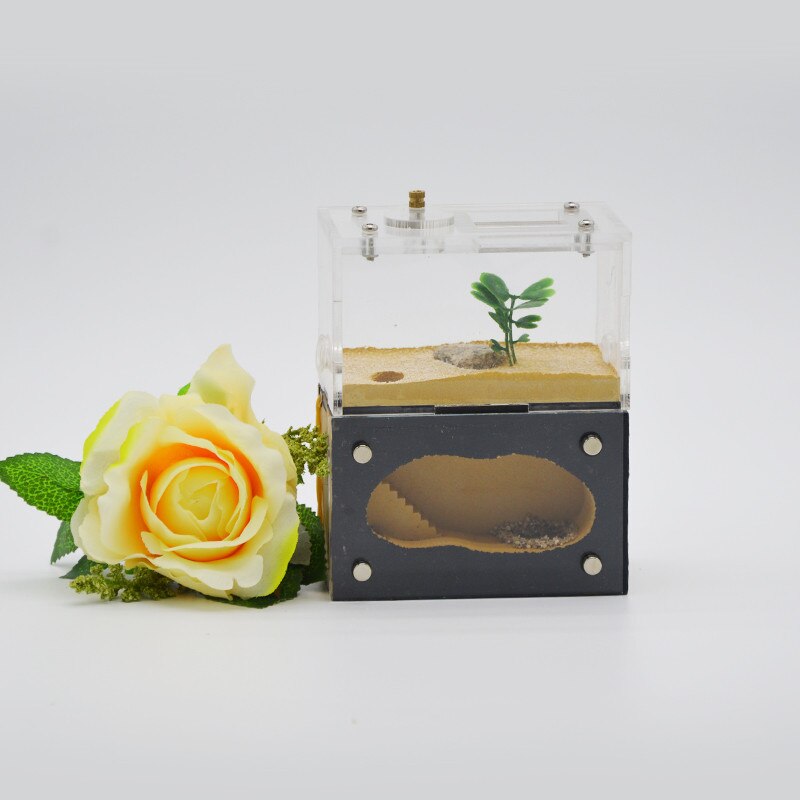 Big space Ant Nest ,Ant Farm Acrylic, Insect ants ... – Vicedeal