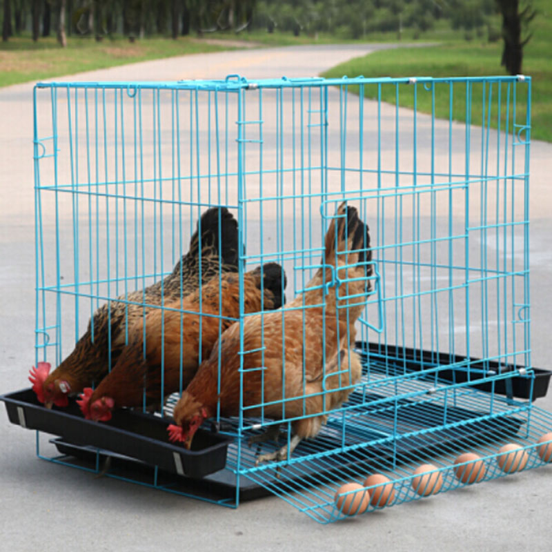 70X51X61cm HEN metal mesh egg hen chicken house ca... – Grandado