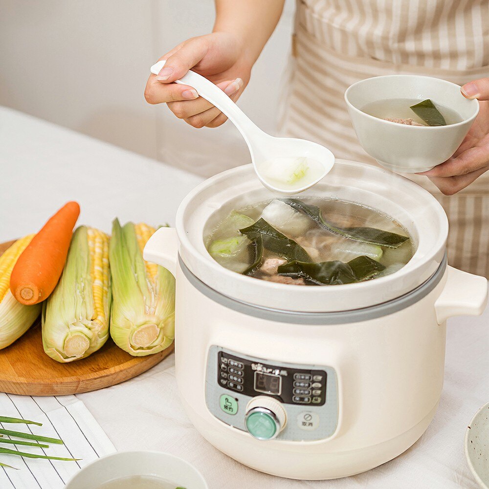 220V 3L Mini Electric Stewing Machine Ceramic Auto... – Vicedeal