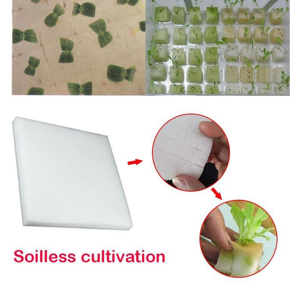 117pcs White Seedling Sponge Soilless Hydroponic V... – Grandado