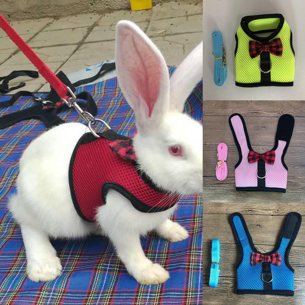 Rabbit Hamster Chest Strap Vest Harness Walking Le... – Vicedeal