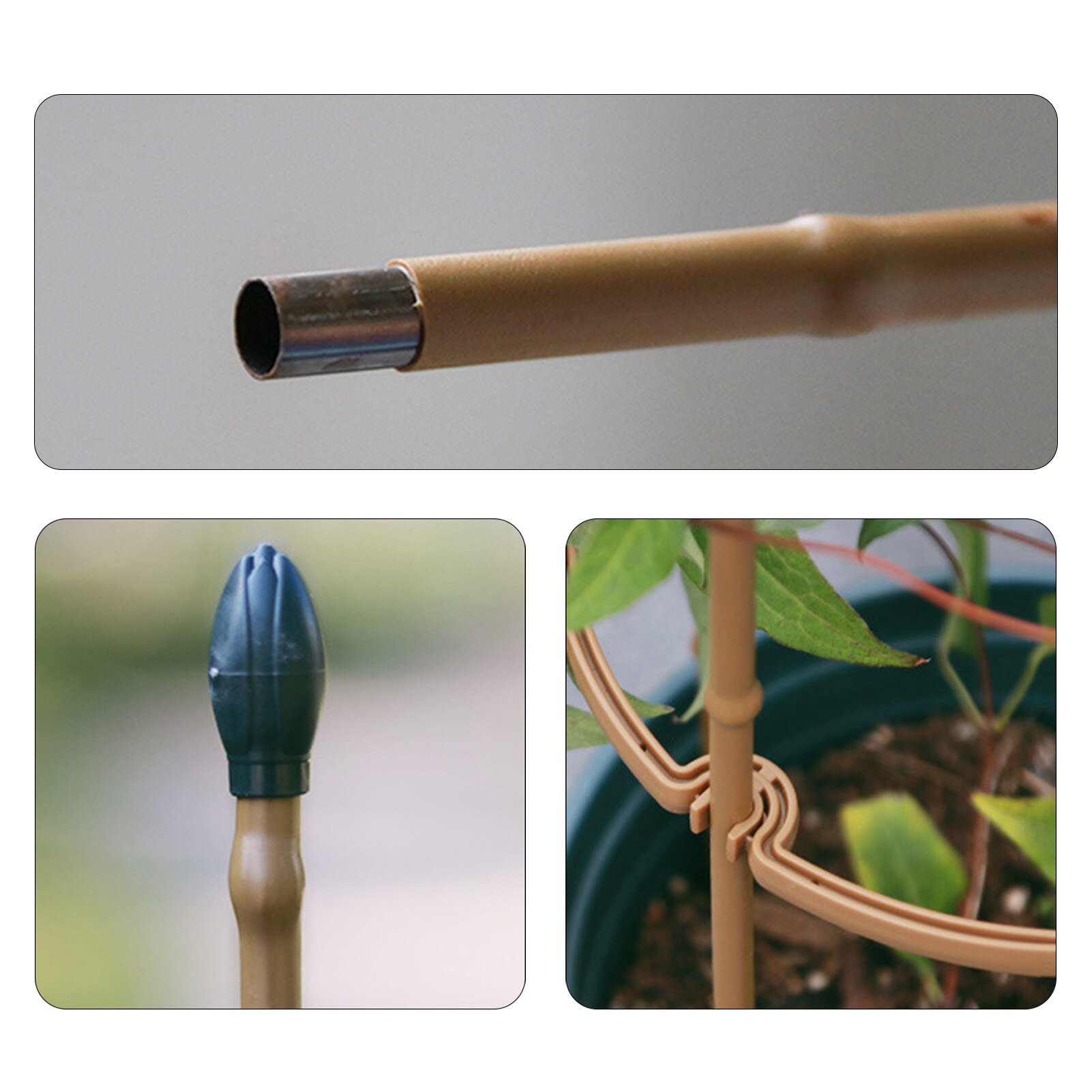 Plant Climbing Trelli Plant Flower Cage Tomato Sup... – Grandado