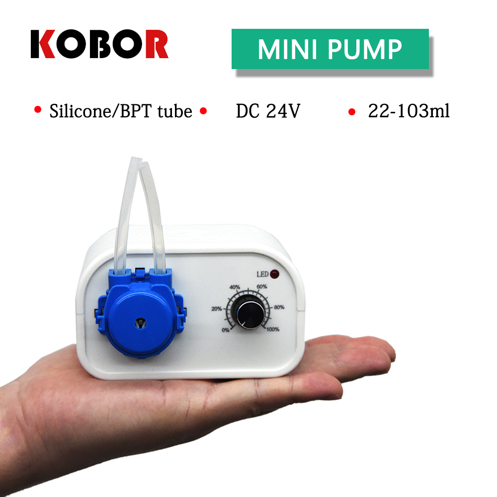 Peristaltic Pump 24v Dc Liquid Dosing Pump For Aqu... – Grandado