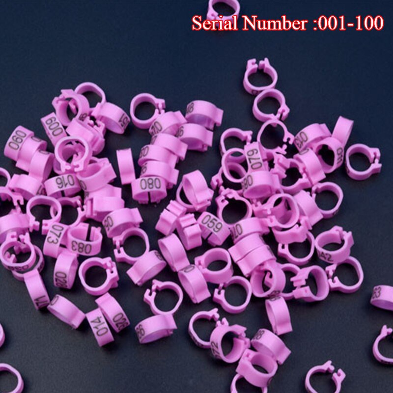 Inner Diameter 8mm Pigeon Leg Bands Poultry Dove B... – Grandado