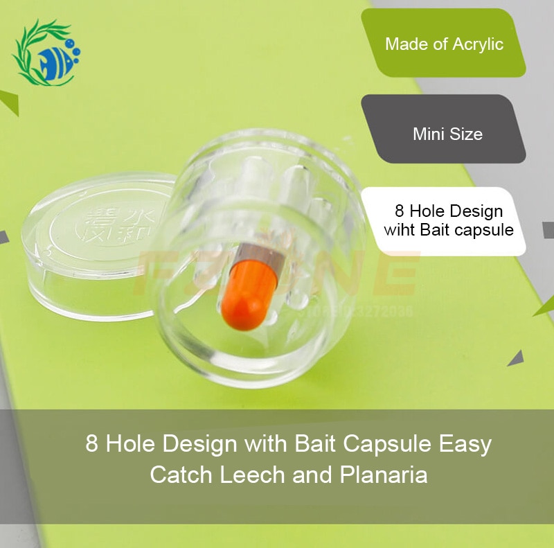 Aquarium Snail Leech Trap Planaria Catcher With Ba... – Grandado