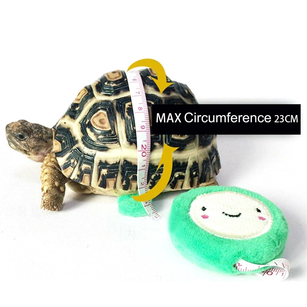 Turtle Collar Hamster Turtle Training Leash Gerbil... – Grandado