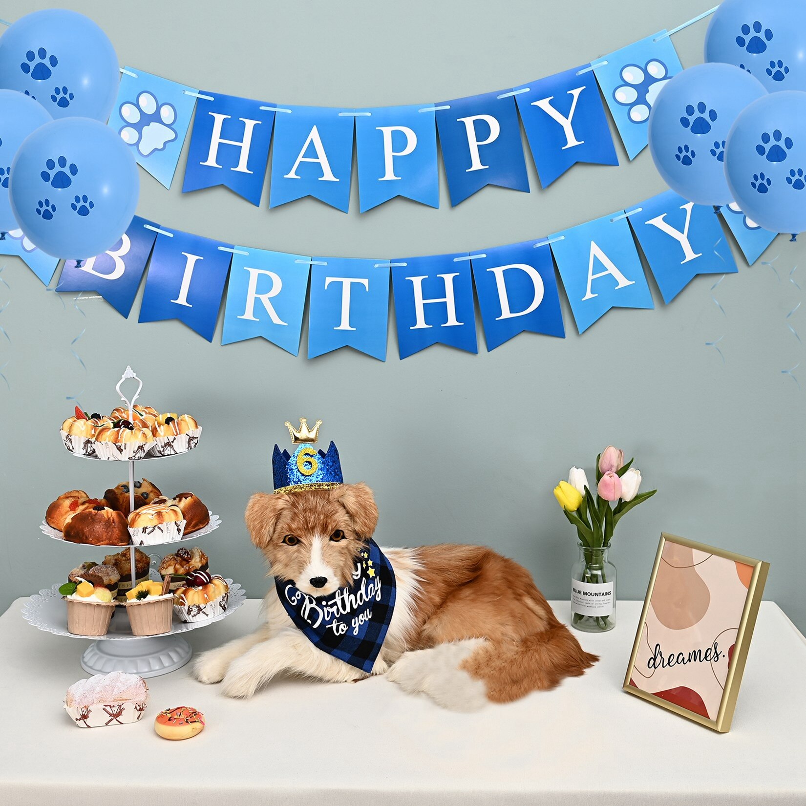 5PC/Set Dog Accessories Pet Birthday Party Decorat... – Grandado