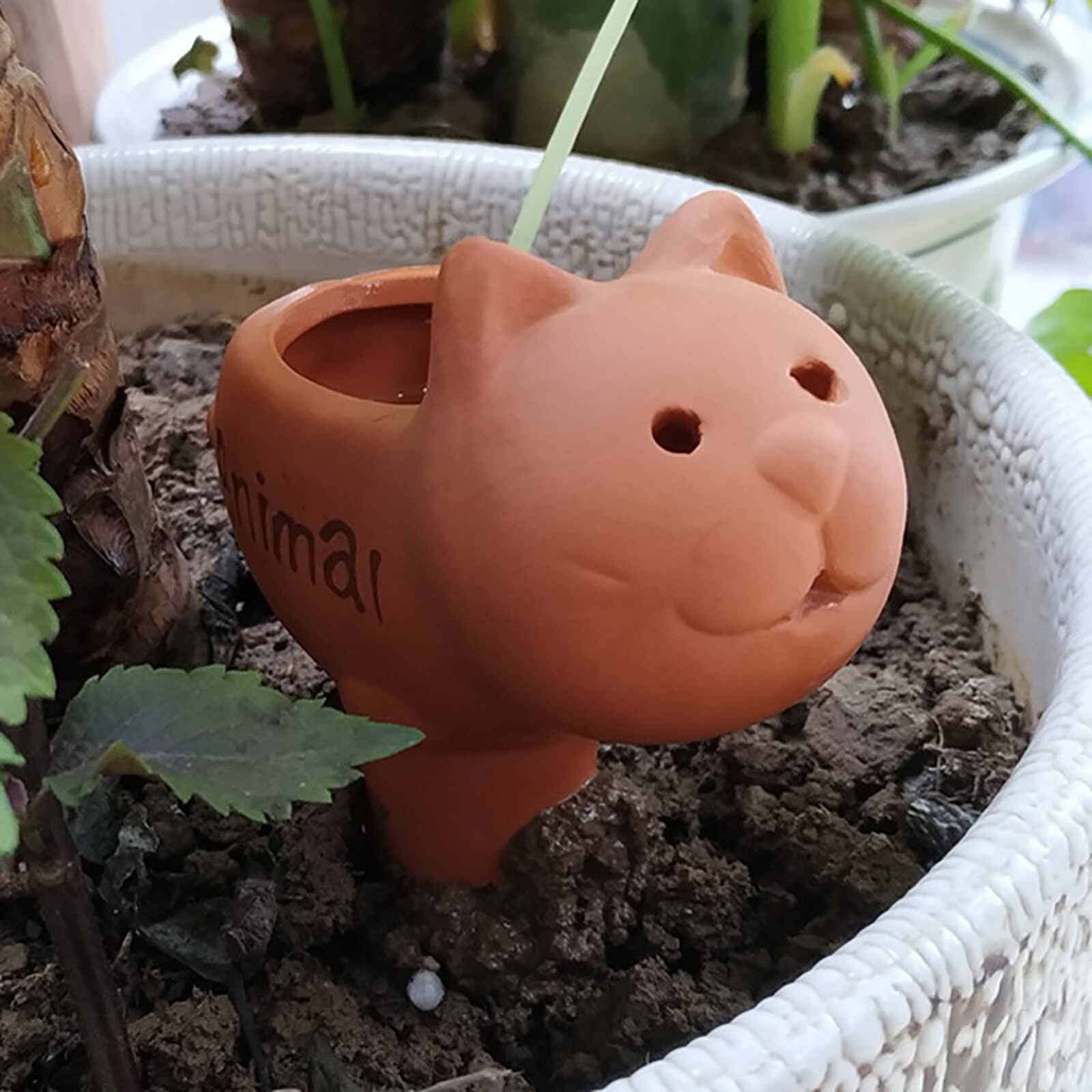Terracotta Watering Spike Automatic Dropper 12*8.5... – Grandado
