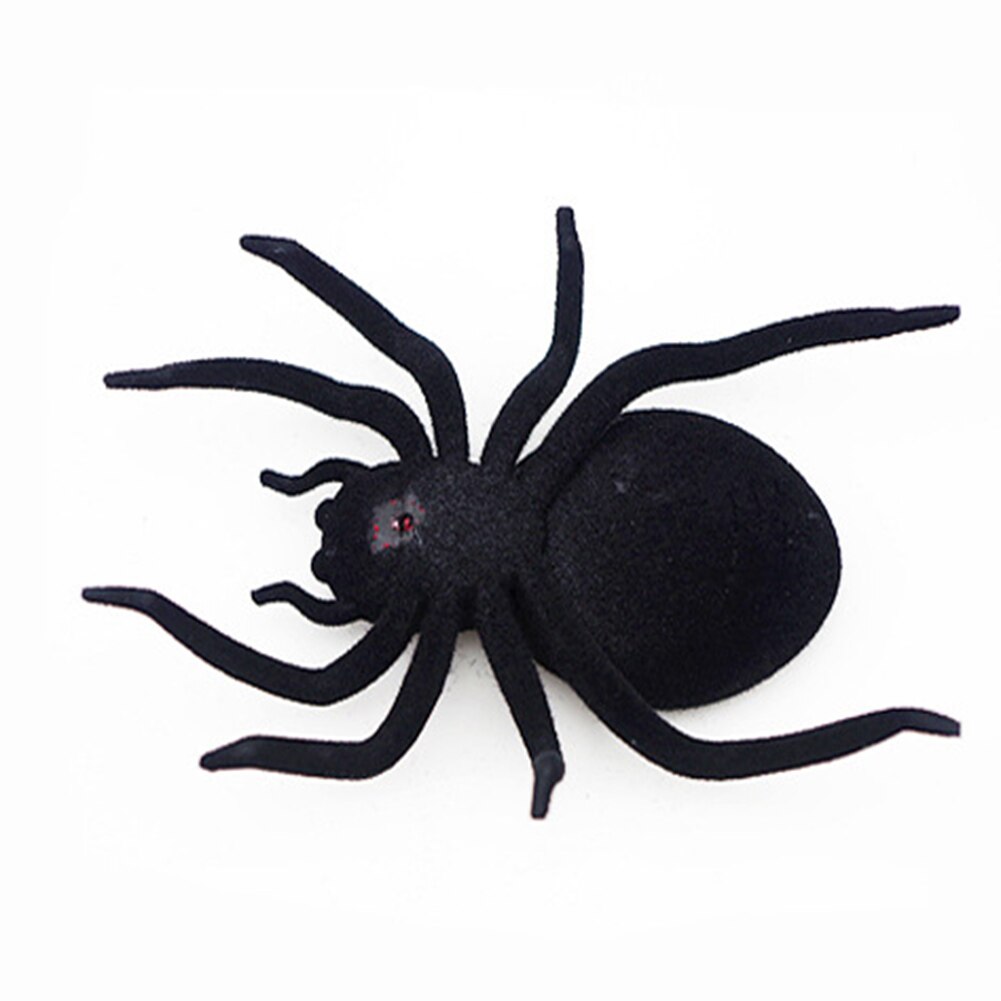 Novelty Gadget Solar Power Robot Insect Car Spider... – Grandado