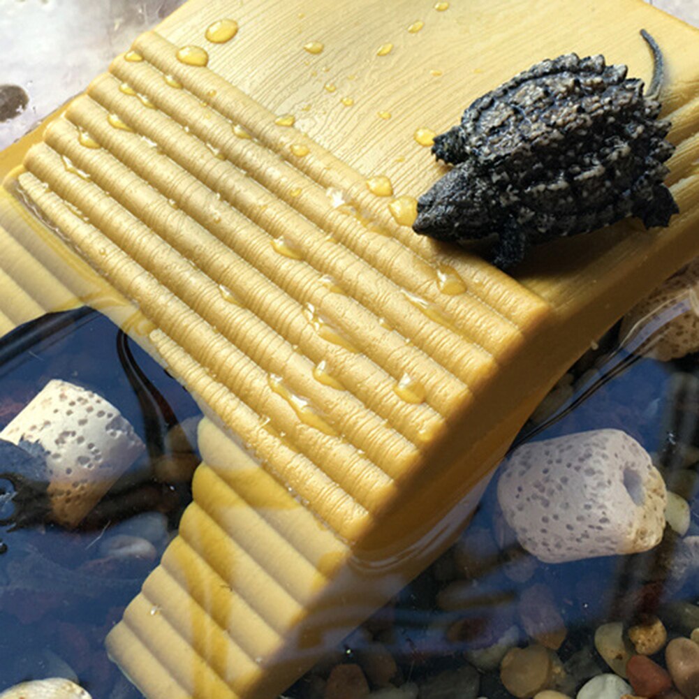 Aquarium Turtle Platform Aquarium Amphibian Aquati... – Grandado