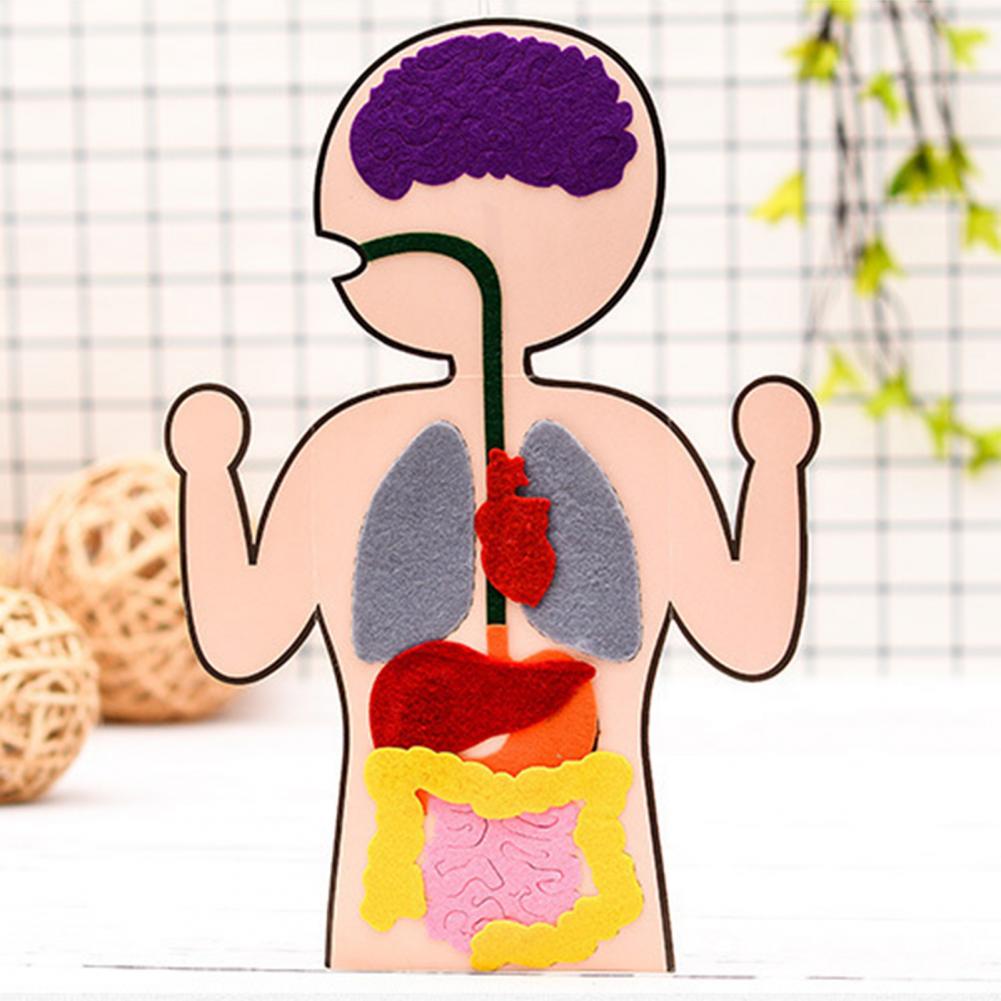 1 Set Interactive Premium Texture Vivid Preschool ... – Grandado