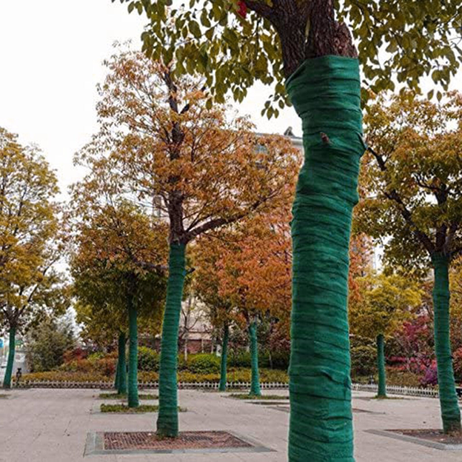 20m Thermal Warm Cold-Proof Moisturizing Tree Trun... – Vicedeal