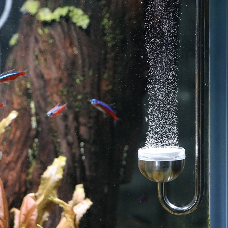 Q5WC CO2 Diffuser Rvs Tiny Bubble Aquarium Co2 Ver... – Vicedeal
