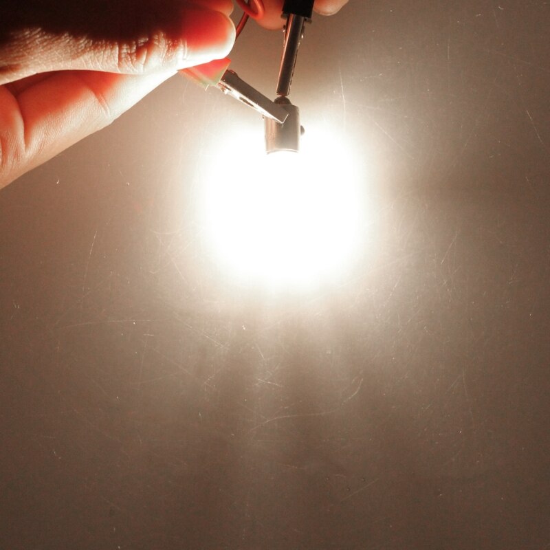 2x BAY9S H21W Halogen Light Bulb Backup Indicator ... – Grandado