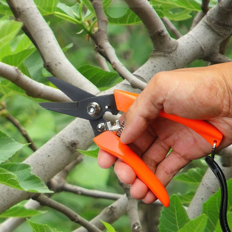 Stainless Steel Electrical Scissors for Electric E... – Vicedeal