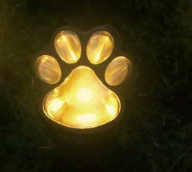 Solar Paw Print Lights Cat Dog Animal Solar Lights... – Grandado