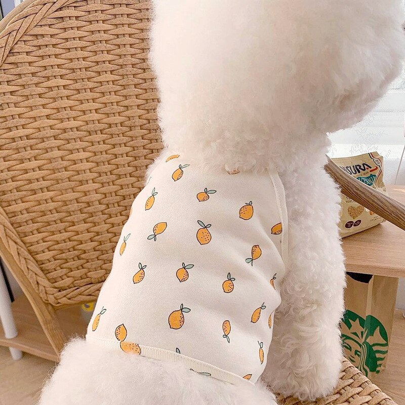 Summer Dog Clothes 2 Styles Orange Print Pet Dog D... – Grandado