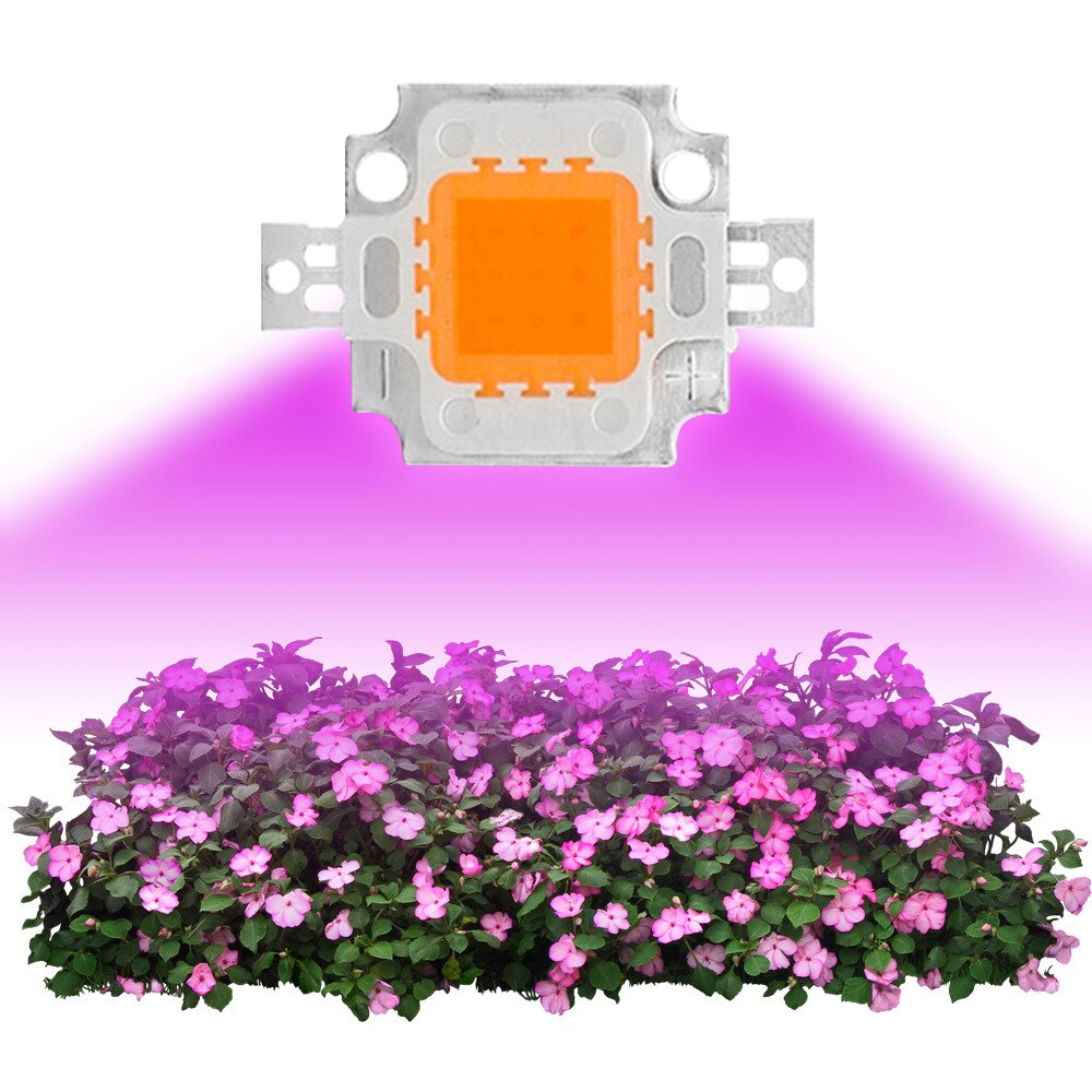4pcs 10W LED Chip Full Spectrum Plant Grow Light D... – Vicedeal