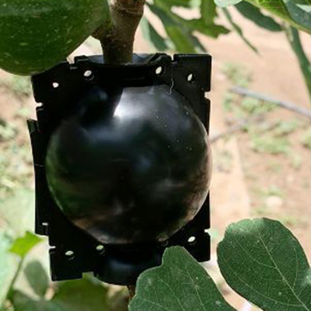 1Pcs High Pressure Box Grafting Breed Plant Rootin... – Vicedeal