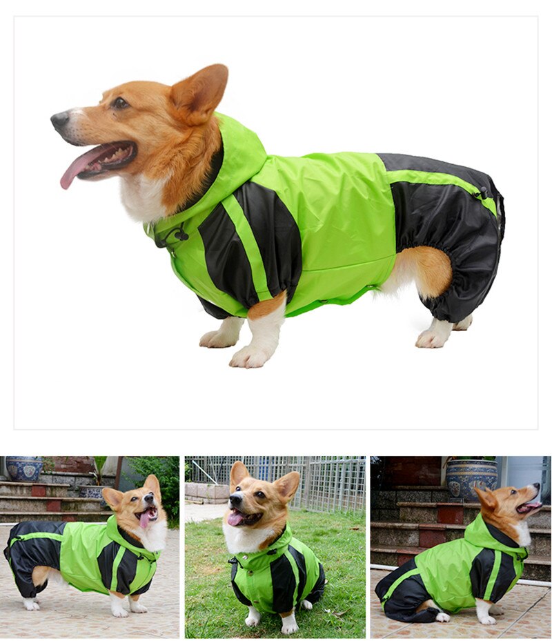 Corgi Dog Clothes Jumpsuit Waterproof Clothing Pem... – Grandado