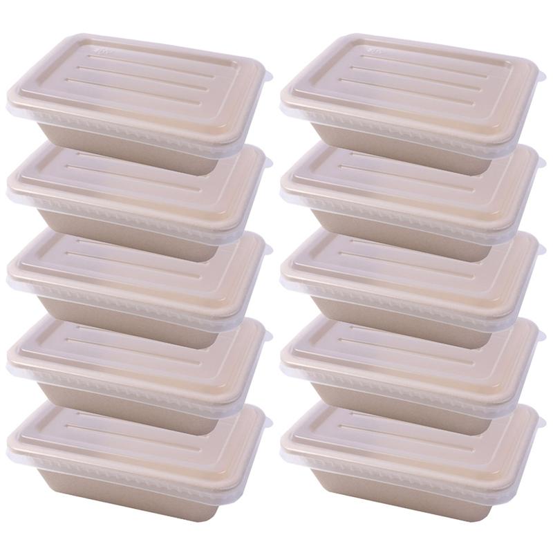 10PCS Disposable Pulp Lunch Box Biodegradable Take... – Grandado