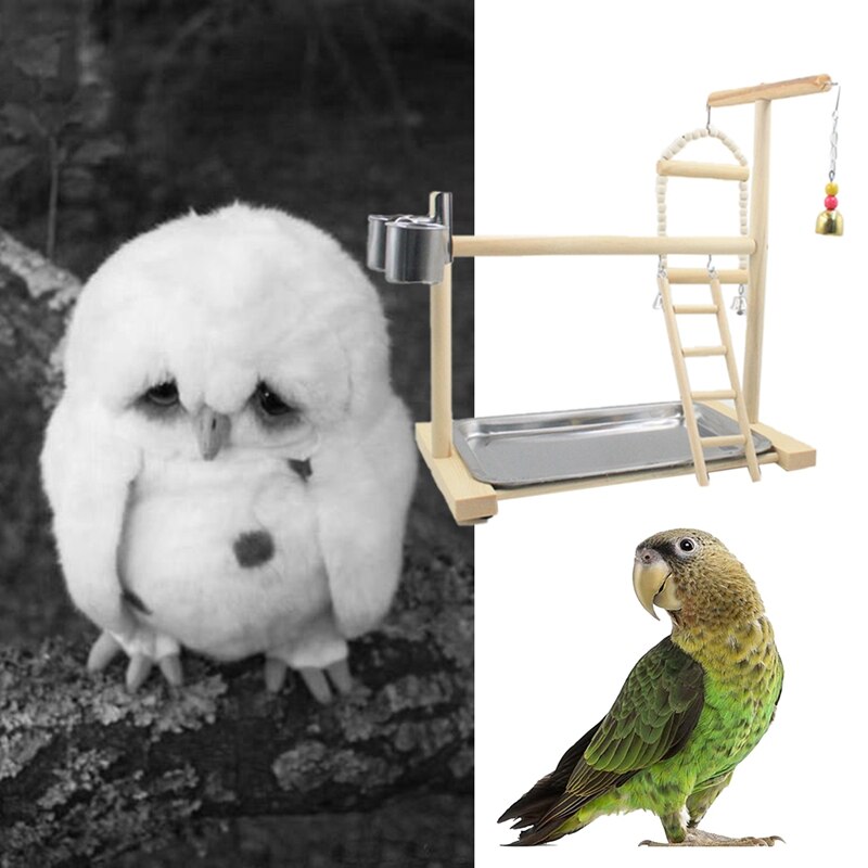 Parrots Wooden Stand Bird Play Activity Center Pla... – Grandado