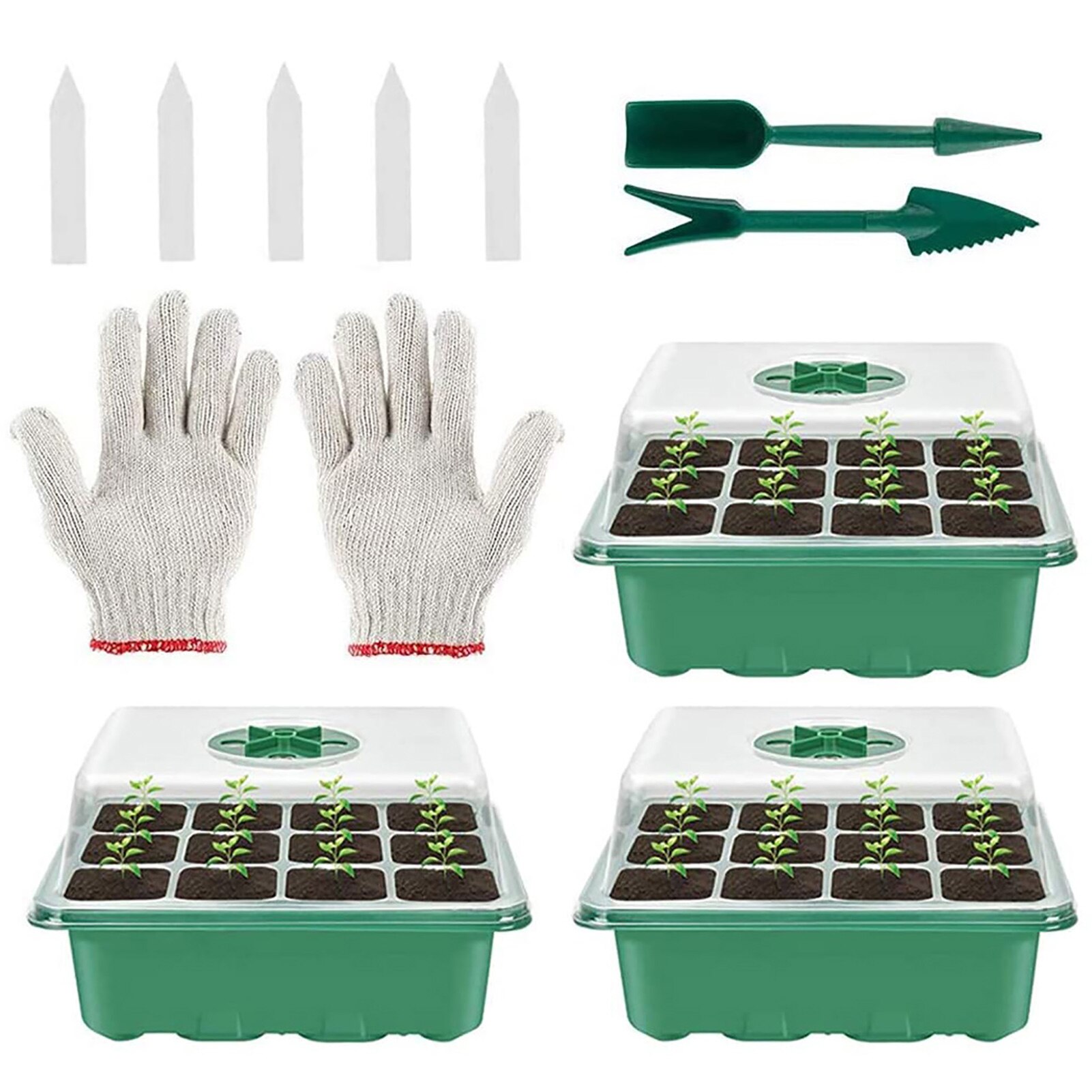 3pcs Germination Box,12 Hole Seedling Starter Tray... – Grandado