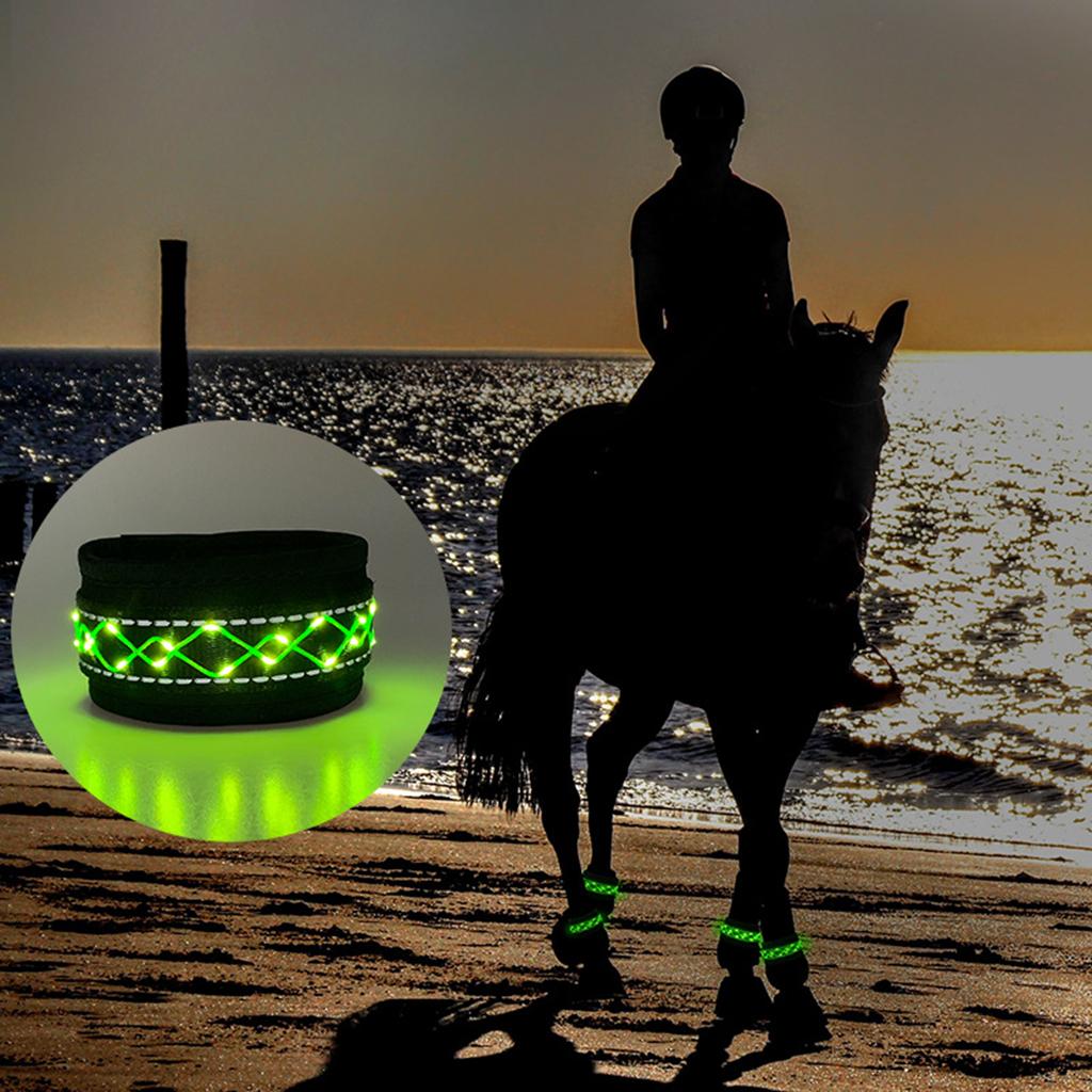 LED Horse Leg Strap High Visibility for Horseback ... – Grandado