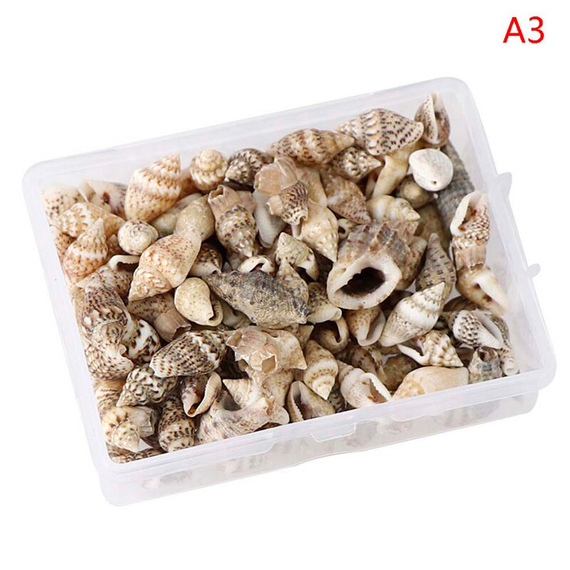 1 Box Natural Conch Shells Mini Conch Corn Screw W... – Grandado