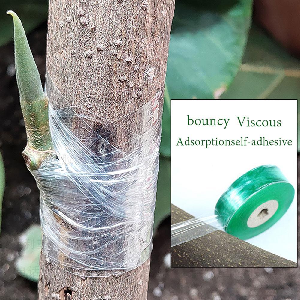 Plant Budding Pruning Parafilm Floristry Nursery F... – Vicedeal