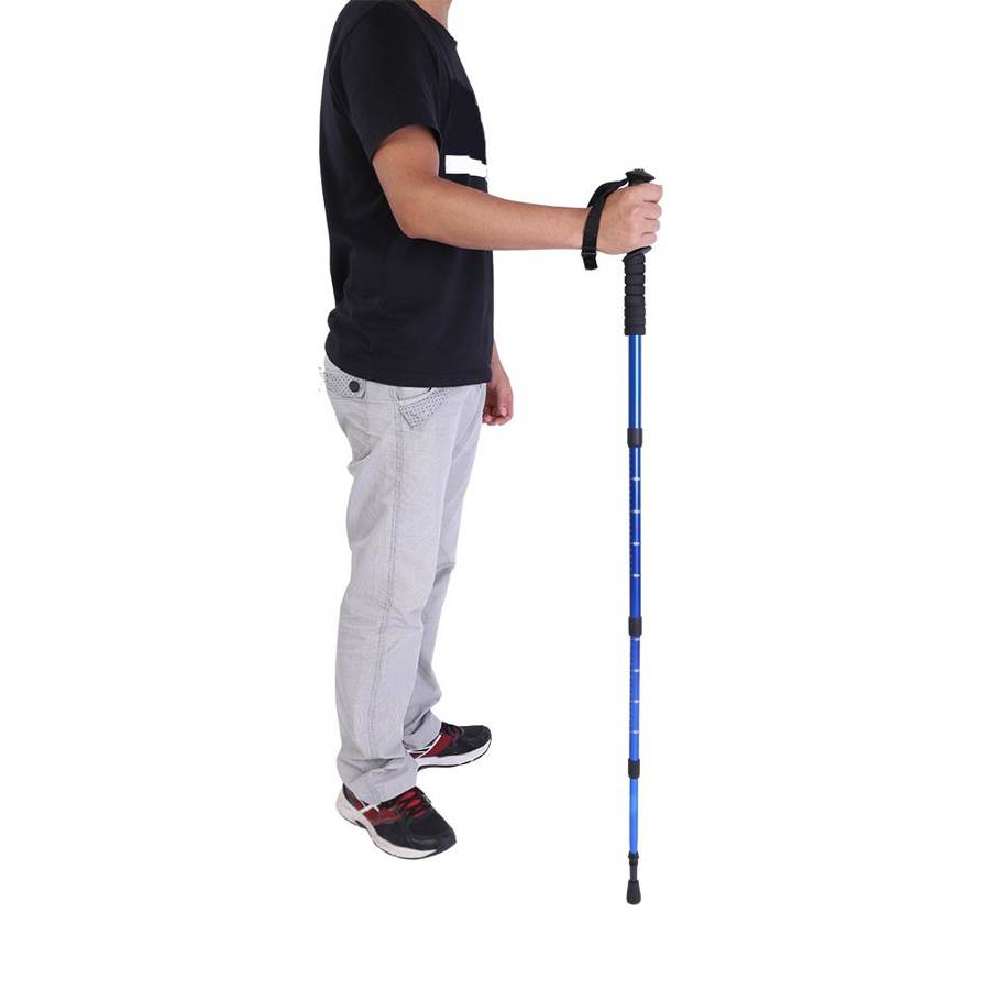 Portable Hiking Stick Elderly Trekking Poles Hikin... – Vicedeal