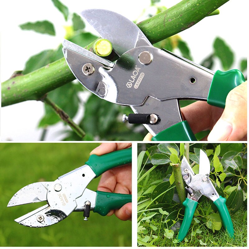LAOA SK5 Garden Pruner Shears Orchid Plant Branch ... – Vicedeal