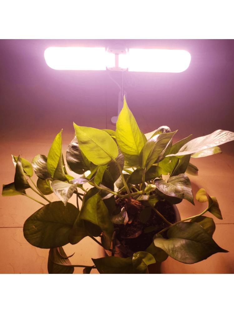 Clip Folding LED Plant Grow Light 24W AC85-265V Fu... – Grandado