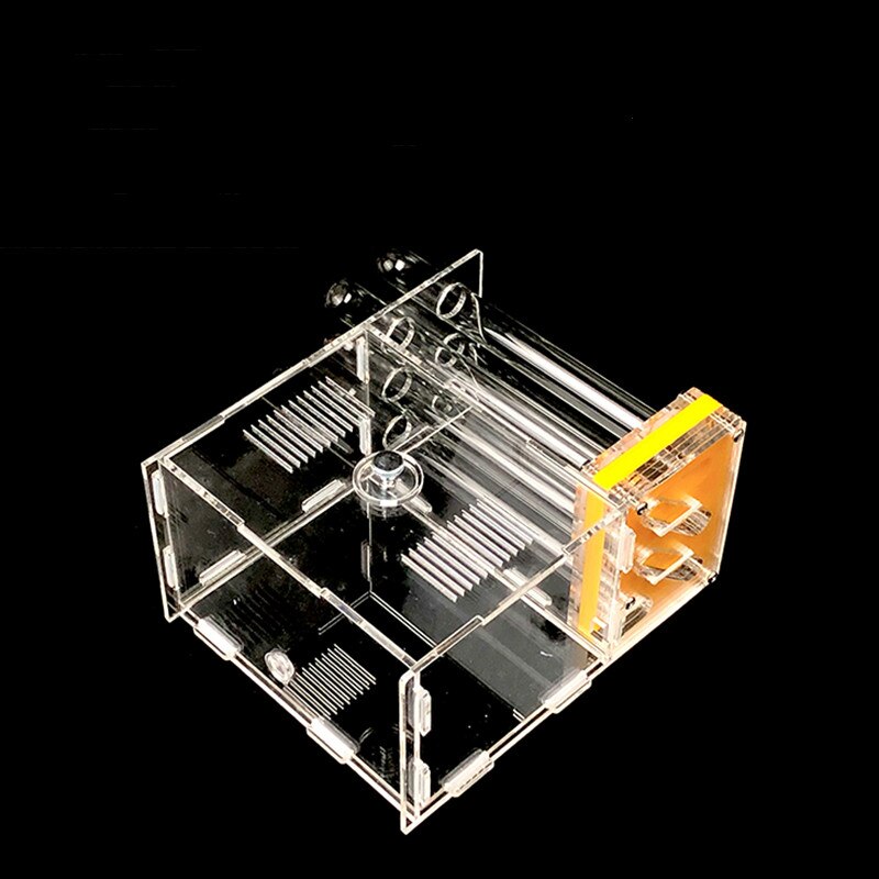 1PCS Six Tube Nest Ants Farm House Insect Box Acry... – Grandado