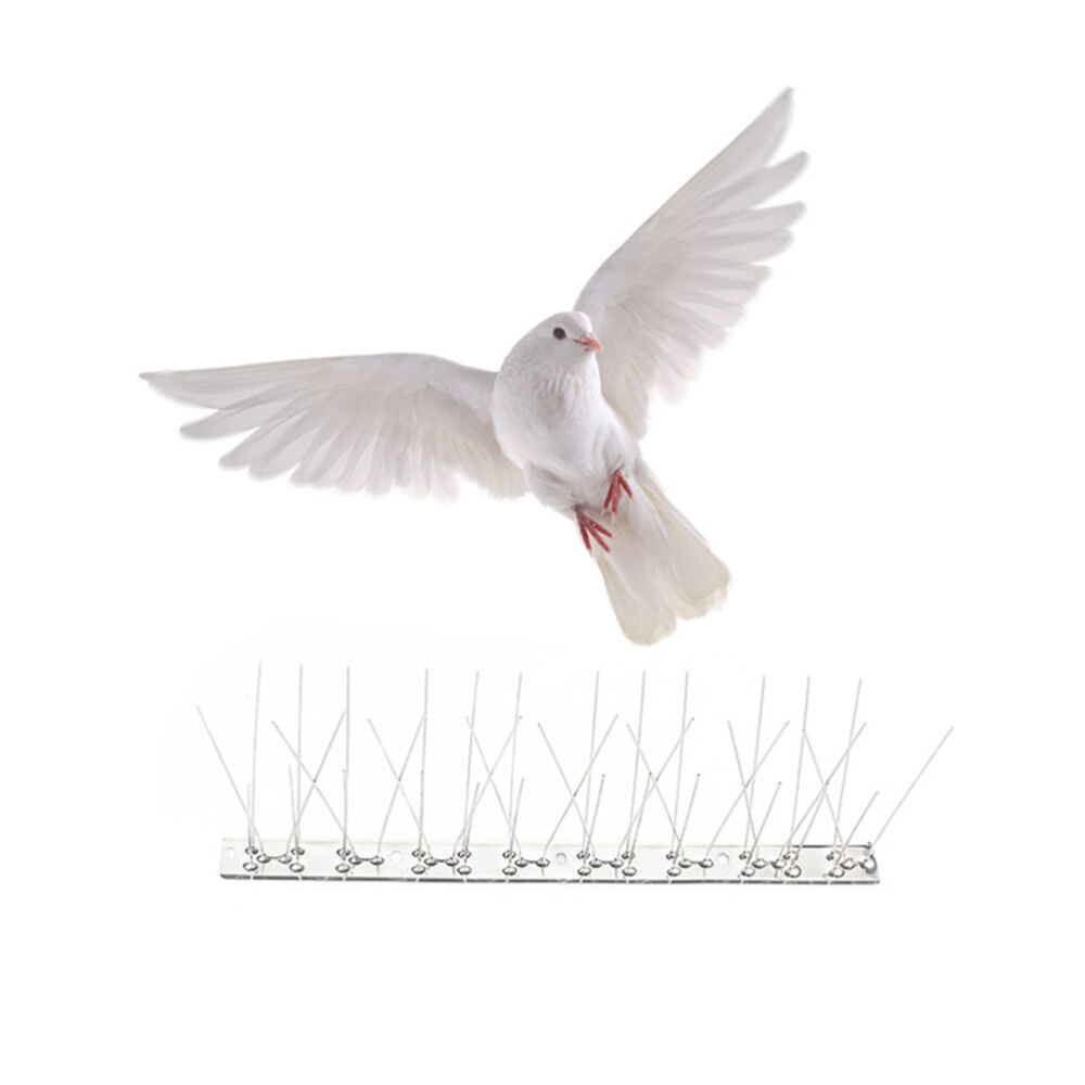Bird Spikes Stainless Steel Anti-Bird Prevent Bird... – Grandado