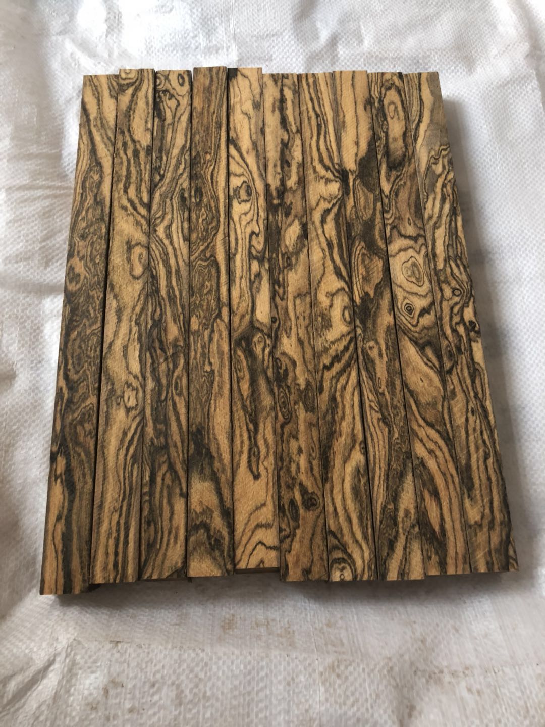 1 st cordia elaeagnoides a.dc. mexico pyrus pyrifo... – Grandado