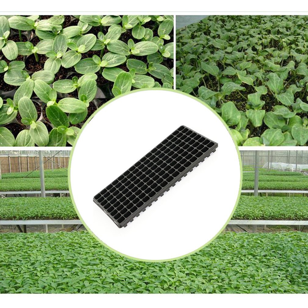 Seedling Starter Tray Extra Strength Plants Vegeta... – Grandado