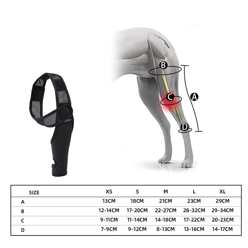 Pet Leg Fracture Immobilisation Protector Dog Reco... – Grandado