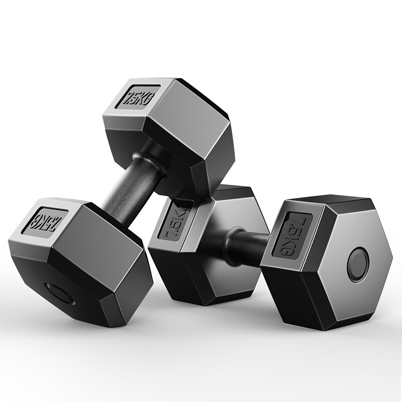 2.5Kg 2Pcs Zeshoekige Rubberen Halter Gym Gewijd V... – Vicedeal