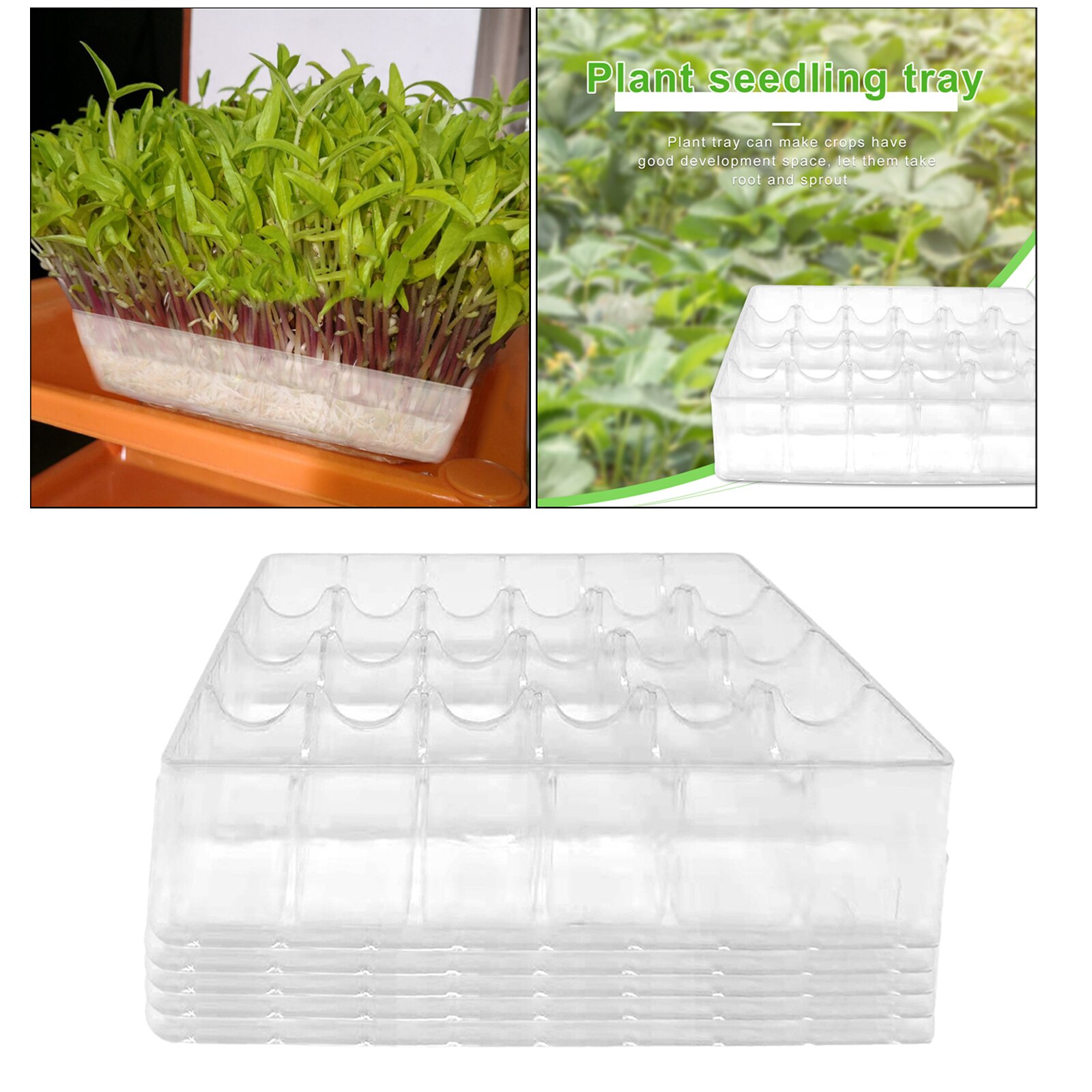 Nursery Pots Sprouting Tray Bean Sprout Planter Sm... – Grandado