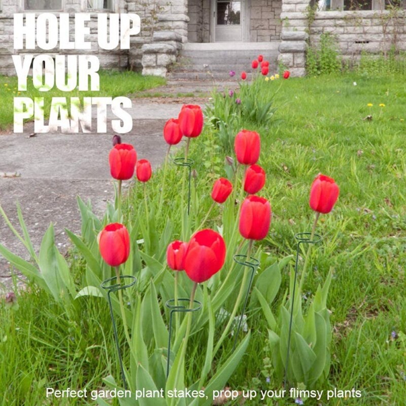 Garden Support Stake Ring Metal Garden Plant Suppo... – Grandado