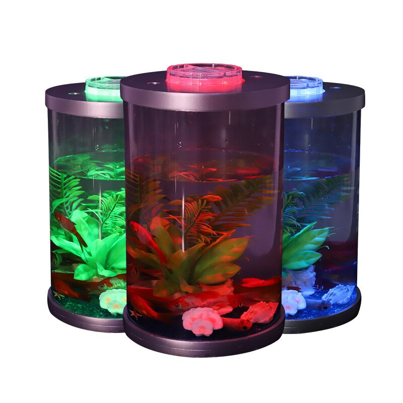 Desktop Aquarium Fish Tank With Light Battery Type... – Grandado