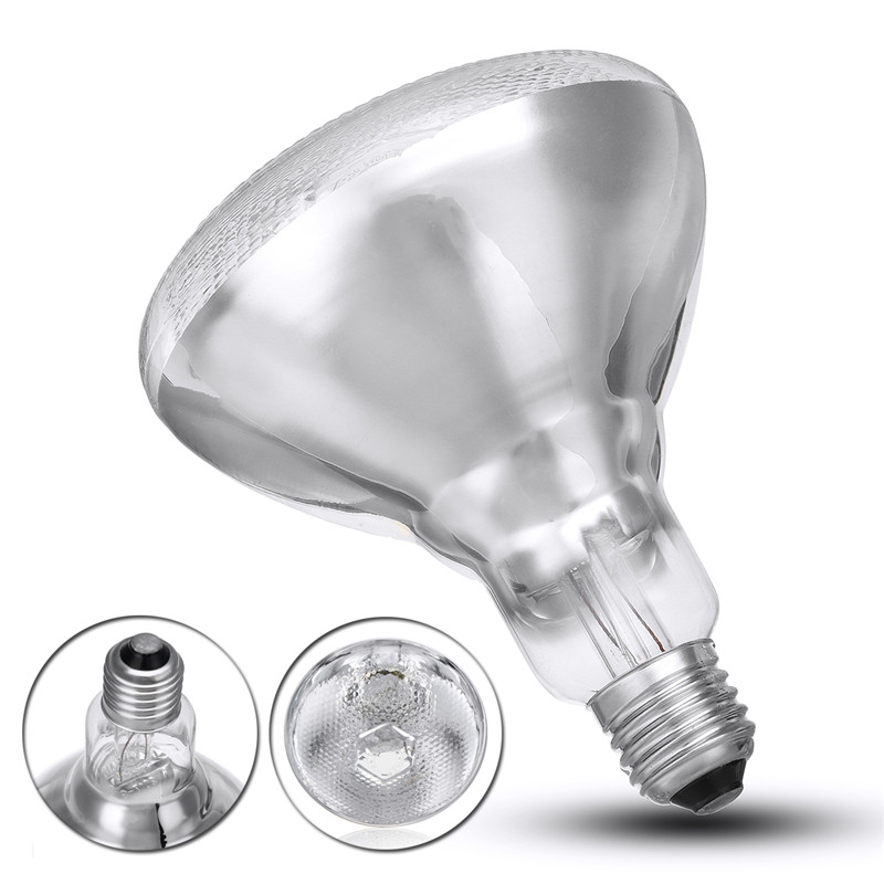 Adjustable Switch 250W Poultry Heat Incubator Lamp... – Grandado